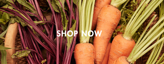 MIXED | Loja Oficial