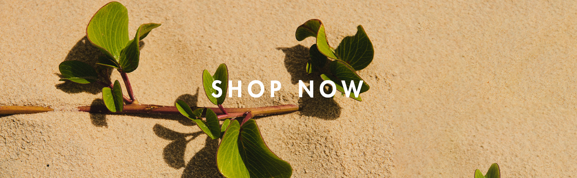 MIXED | Loja Oficial